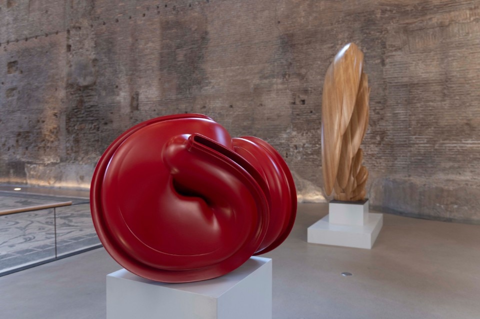 Tony Cragg's biomorphic sculptures exposed in the archaeological landscape of the Baths of ...